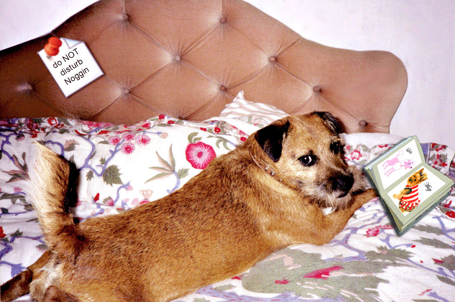 Solve Noggin in his boudoir looking at girly pics - and a poem for all ...