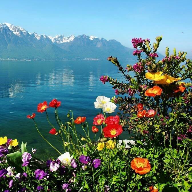 Solve Beautiful Scenery jigsaw puzzle online with 64 pieces