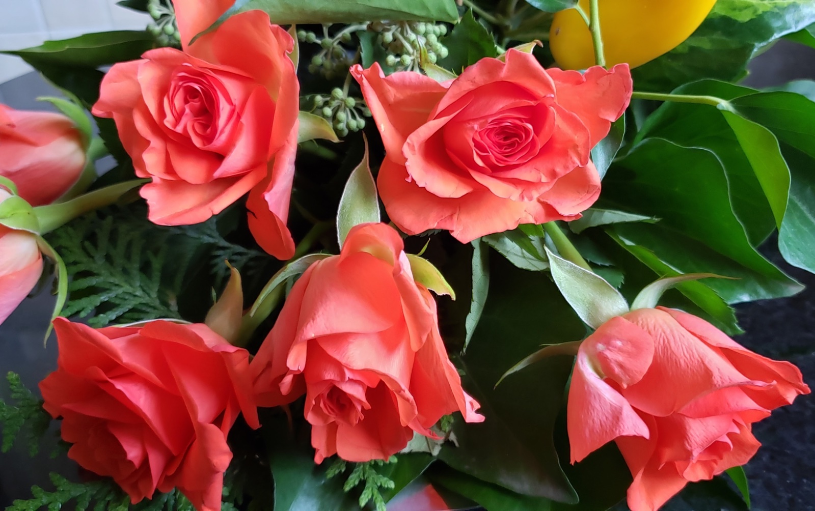 Solve Roses jigsaw puzzle online with 40 pieces