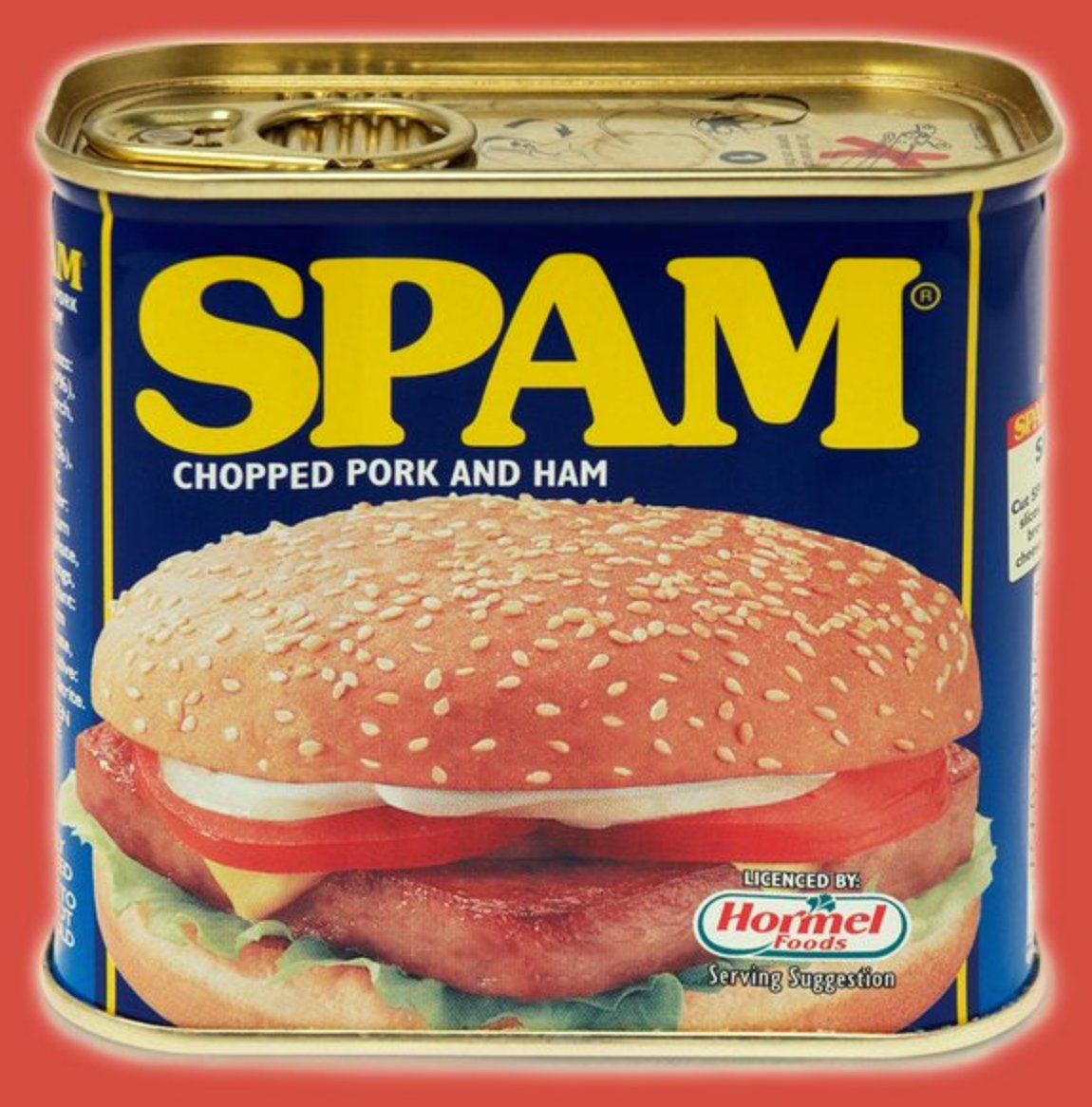 Solve Spam Can jigsaw puzzle online with 361 pieces