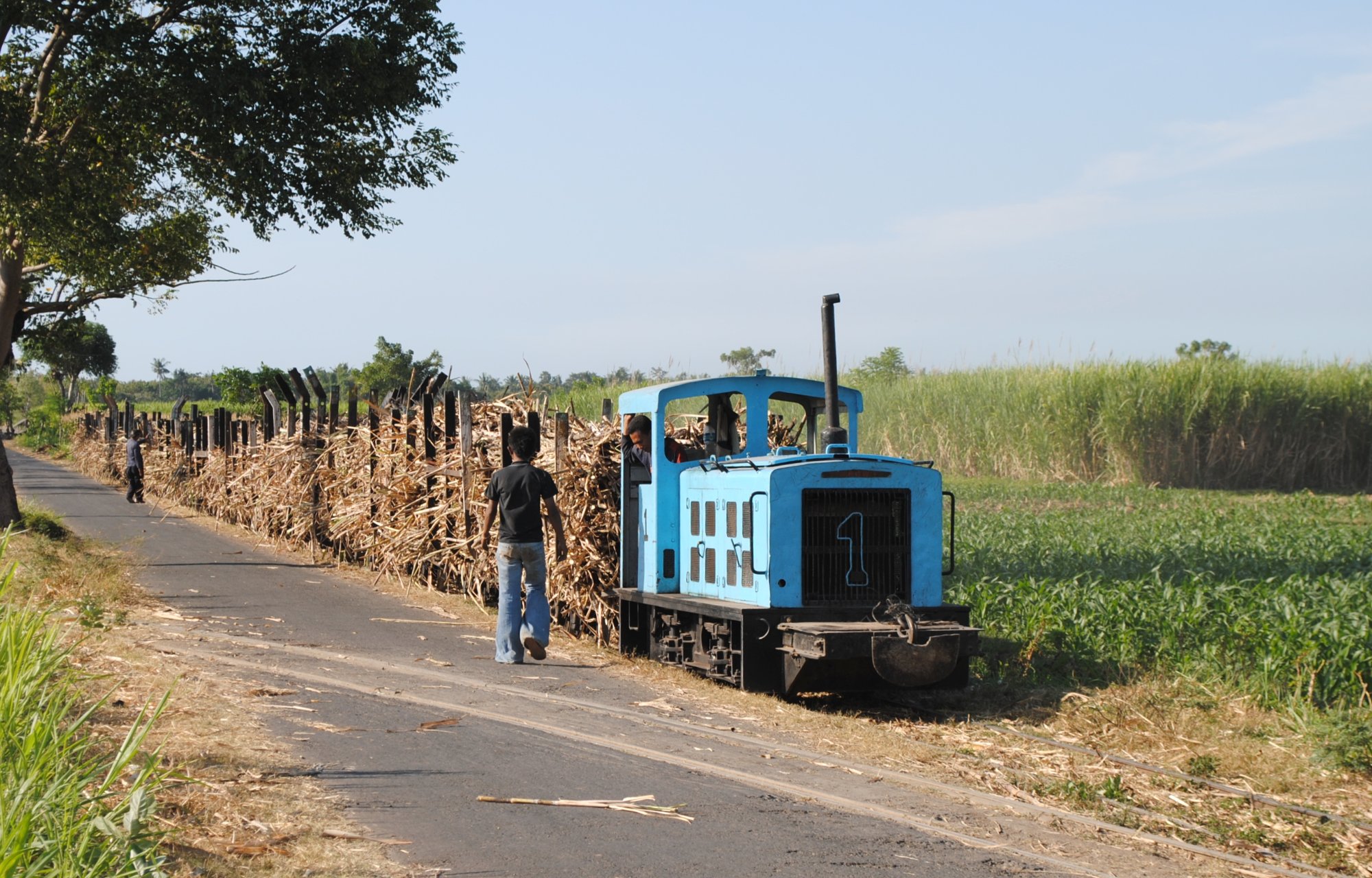 Solve Olean, East Java jigsaw puzzle online with 176 pieces