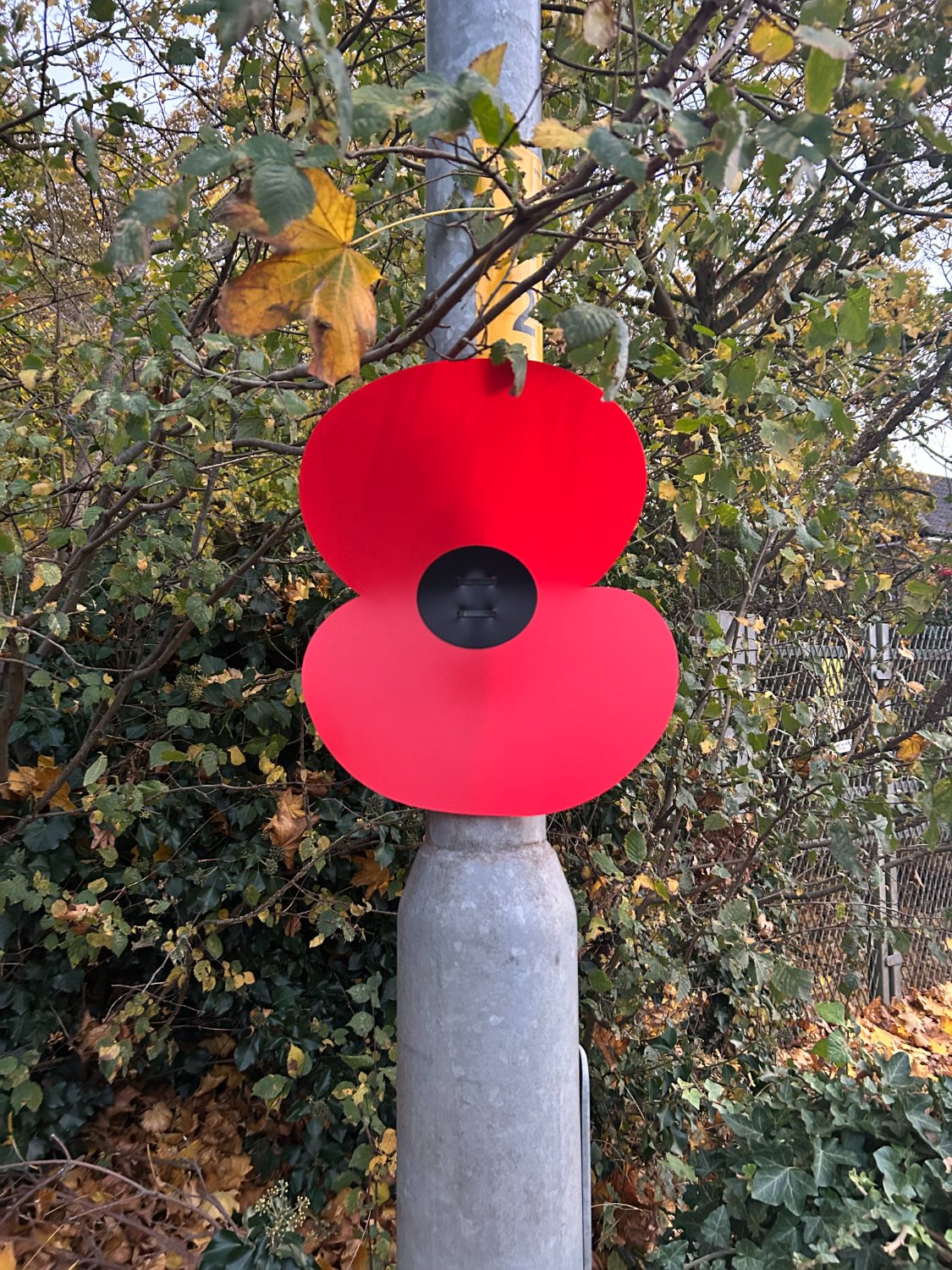 Solve Remembrance Poppy jigsaw puzzle online with 48 pieces