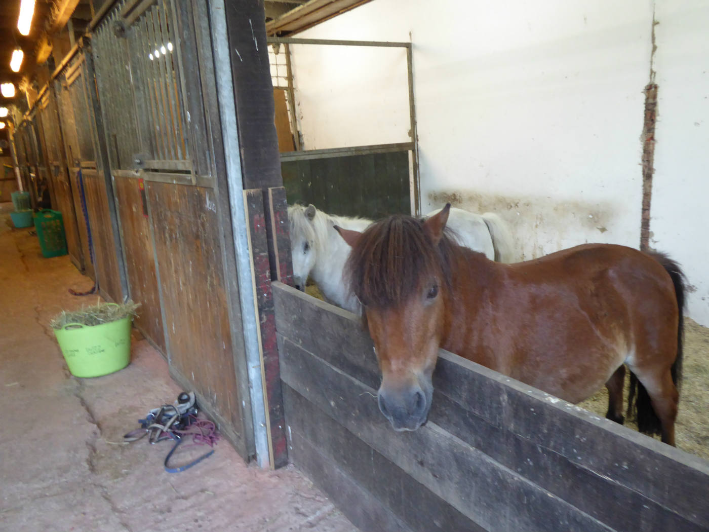 Solve You can see how different the ponies stable is from the normal ...