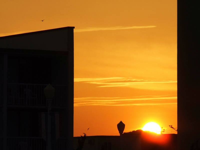 Solve Virginia Beach Sunset... jigsaw puzzle online with 12 pieces