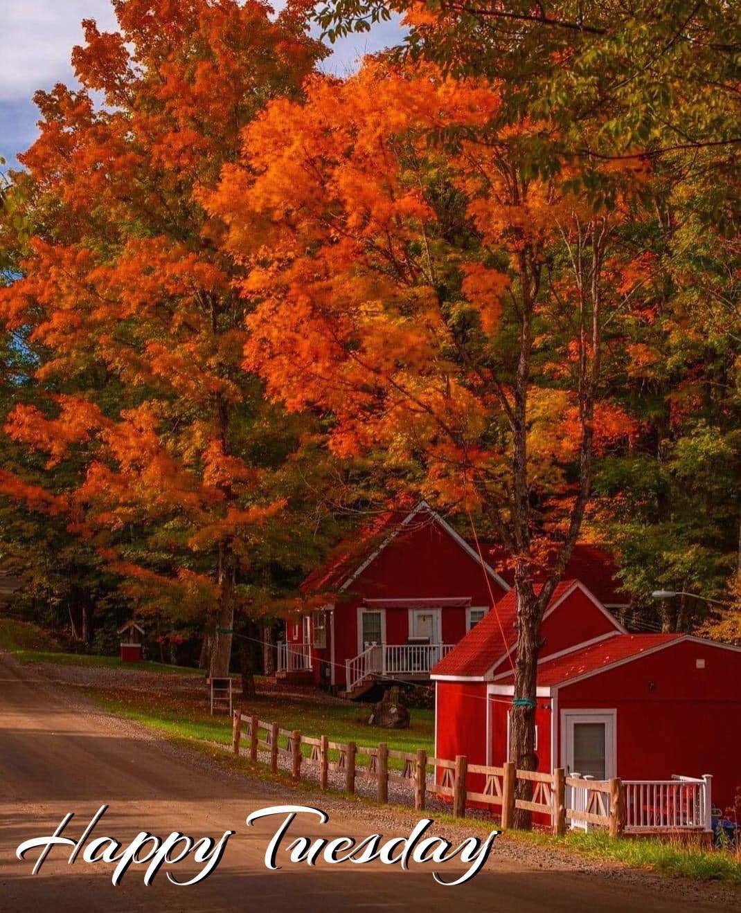 Solve Good Morning - Happy Tuesday! jigsaw puzzle online with 63 pieces