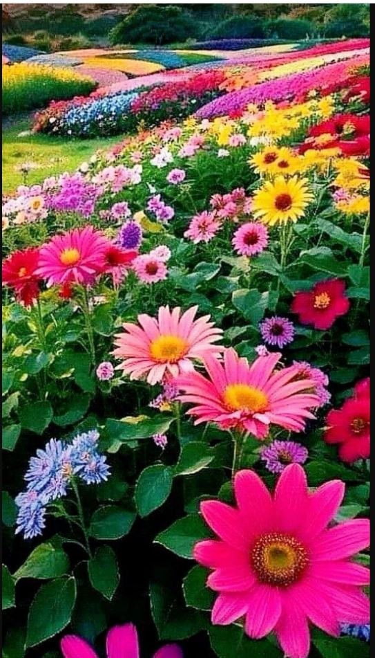 Solve spring flowers jigsaw puzzle online with 40 pieces