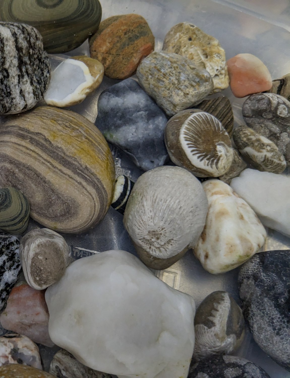 Solve Lotsa Rocks! jigsaw puzzle online with 80 pieces