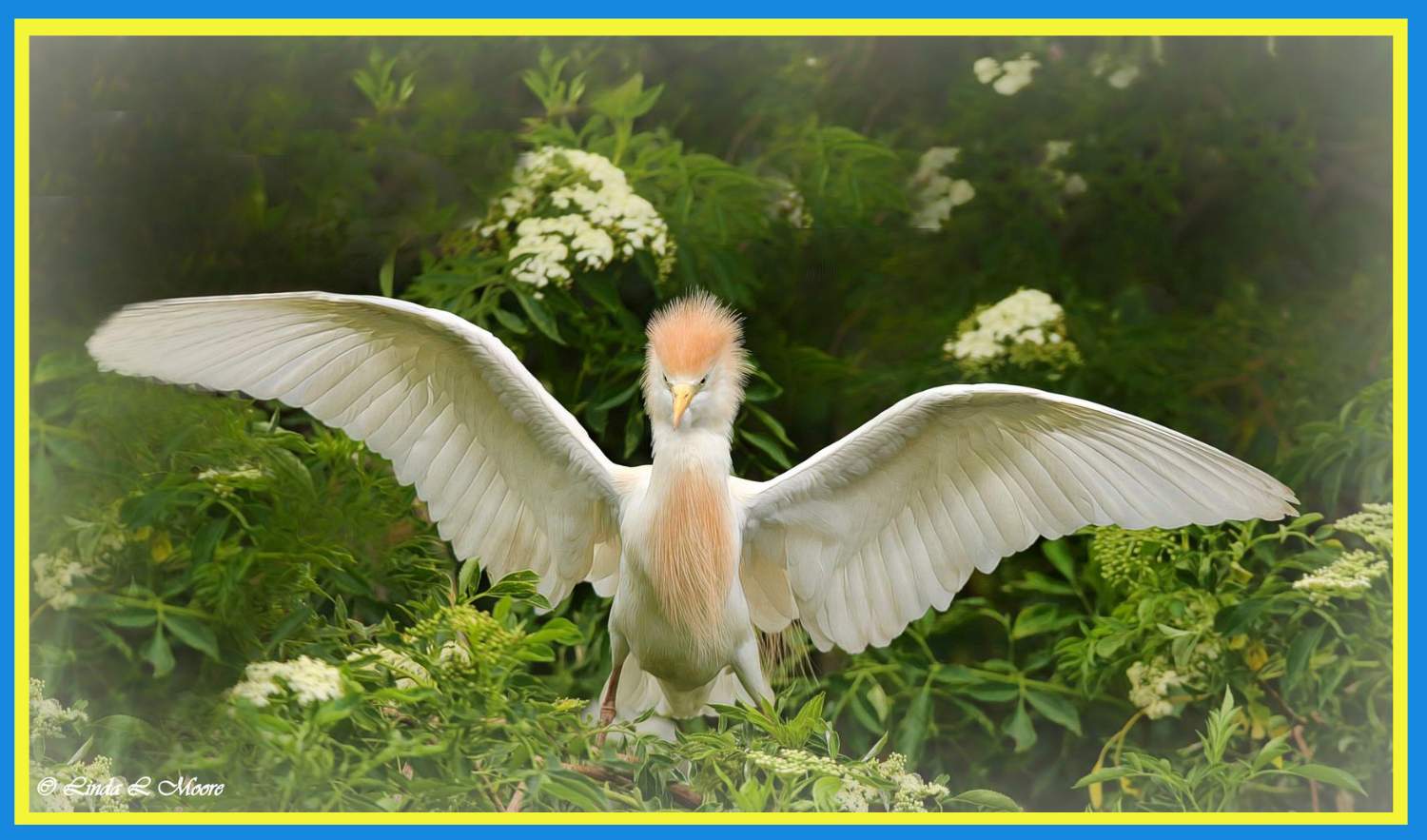 Solve Cattle Egret jigsaw puzzle online with 77 pieces