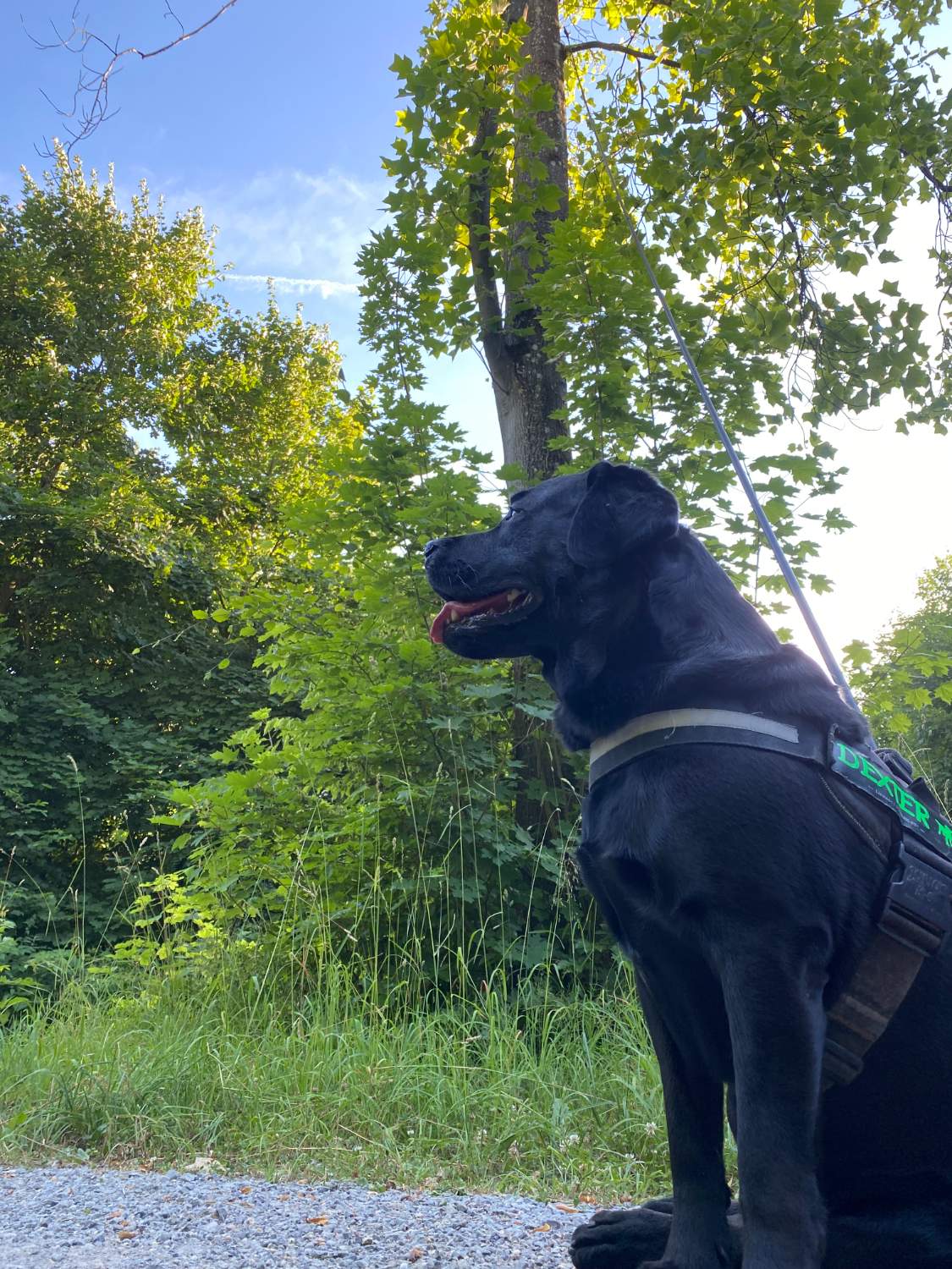 Solve c2-8 jigsaw puzzle online with 108 pieces