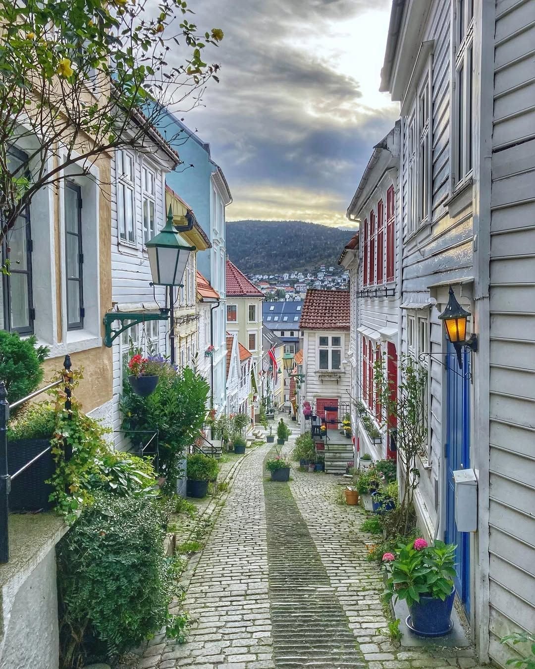 Solve Bergen, Norway 🇧🇻 jigsaw puzzle online with 99 pieces