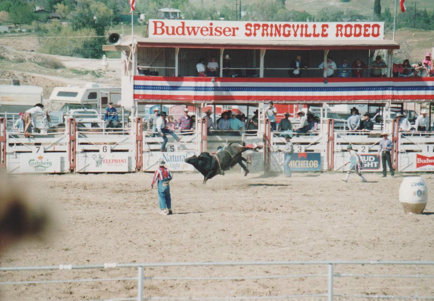 Solve 426-Budweiser Springville Rodeo jigsaw puzzle online with 126 pieces