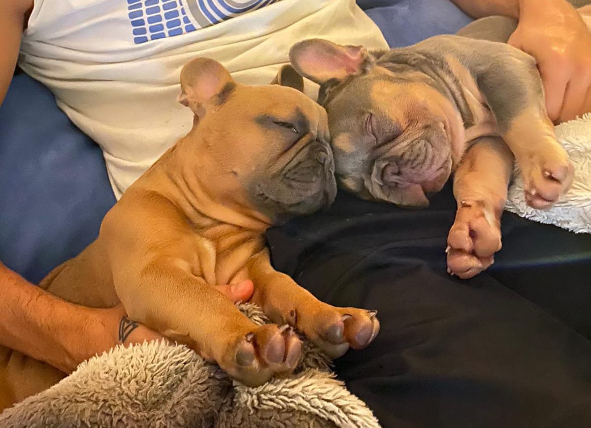 Solve Hraní dokáže pořádně unavit! jigsaw puzzle online with 48 pieces