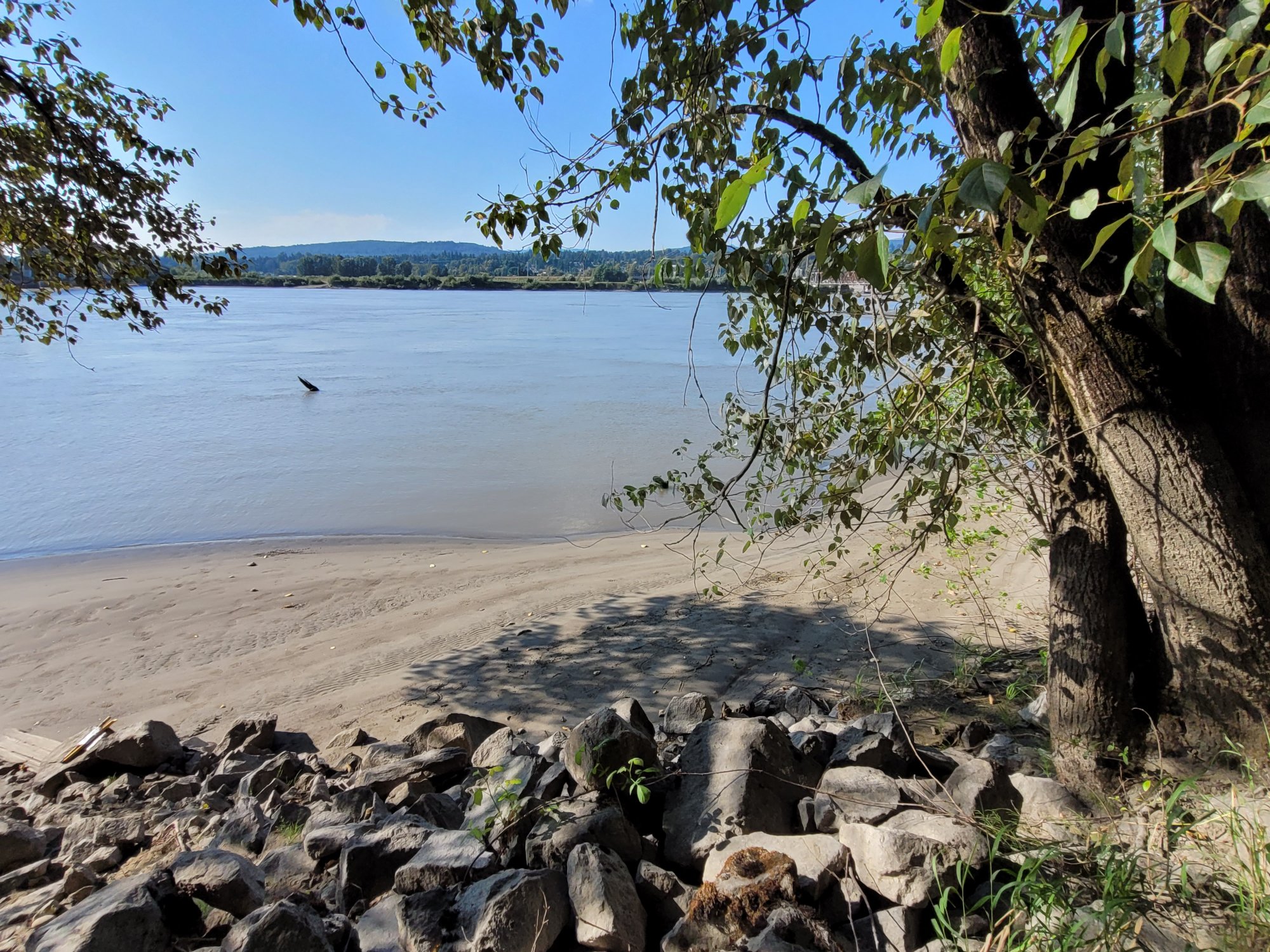 Solve Blick von Riverside (Matsqui) aus über den Fraser River auf das ...