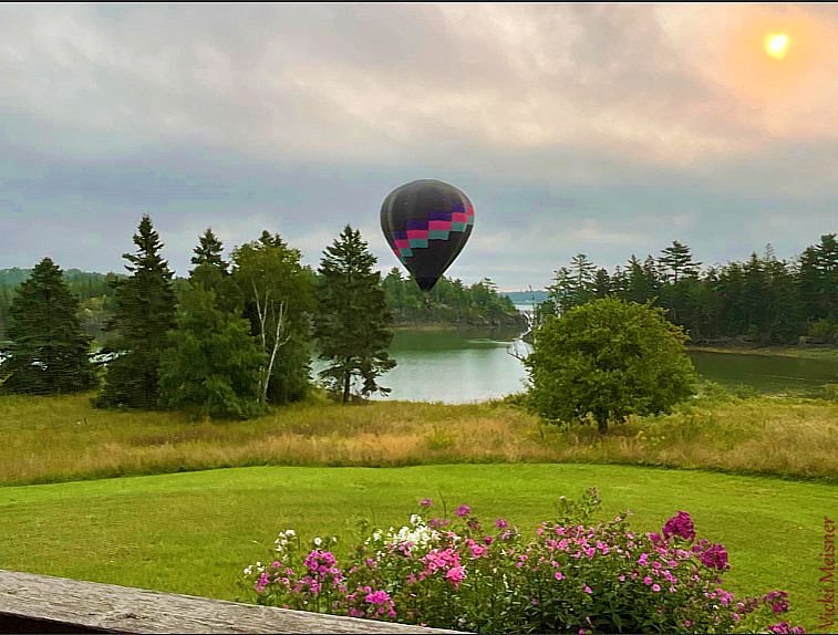 Solve Surprise balloon visit, photo by my sister Vicki Meisner jigsaw ...