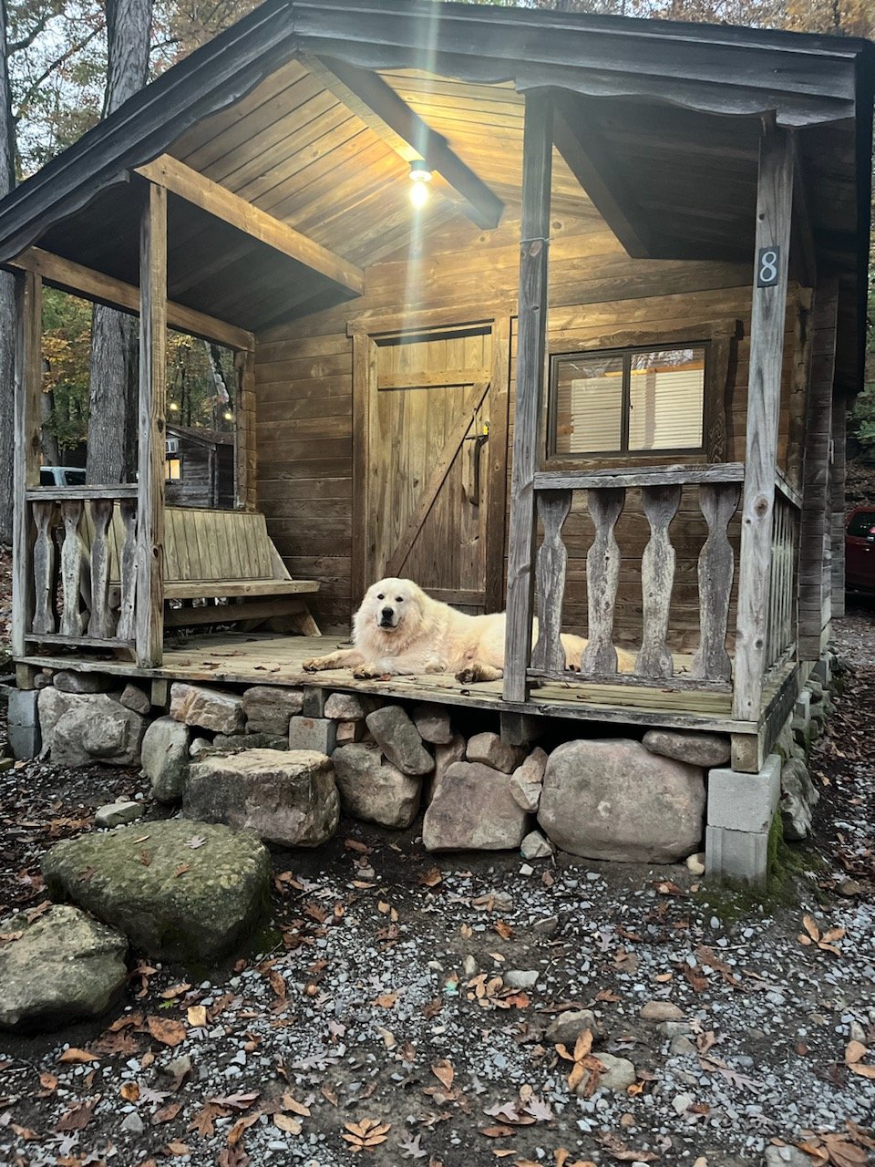 Solve Happy Place, Happy Dog jigsaw puzzle online with 63 pieces