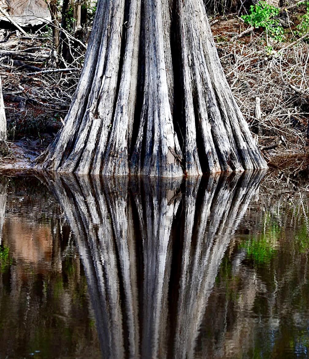 Solve Reflection jigsaw puzzle online with 56 pieces