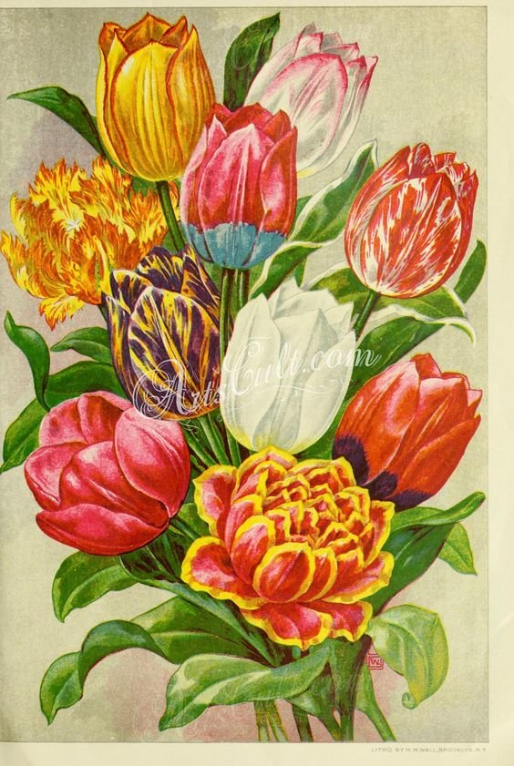 Solve Tulip Array jigsaw puzzle online with 96 pieces