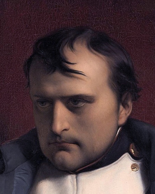 Solve Comb-over Country jigsaw puzzle online with 63 pieces