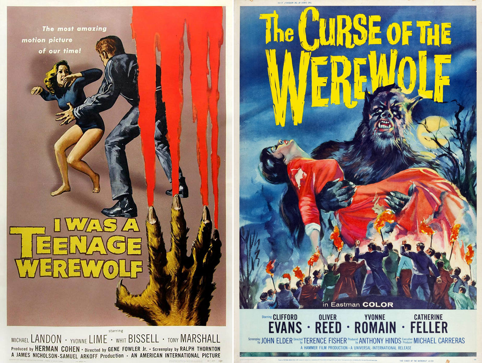 Solve I Was a Teenage Werewolf ~ 1957 and The Curse of the Werewolf ...
