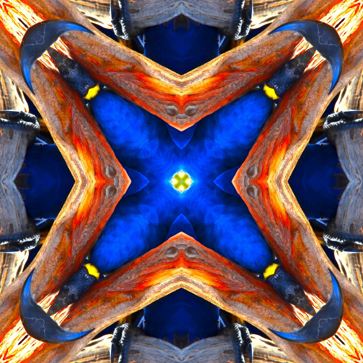 Solve #1 - large jigsaw puzzle online with 144 pieces