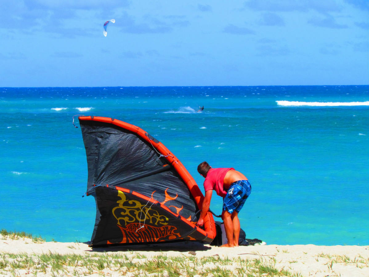 Solve Using the Wind jigsaw puzzle online with 108 pieces