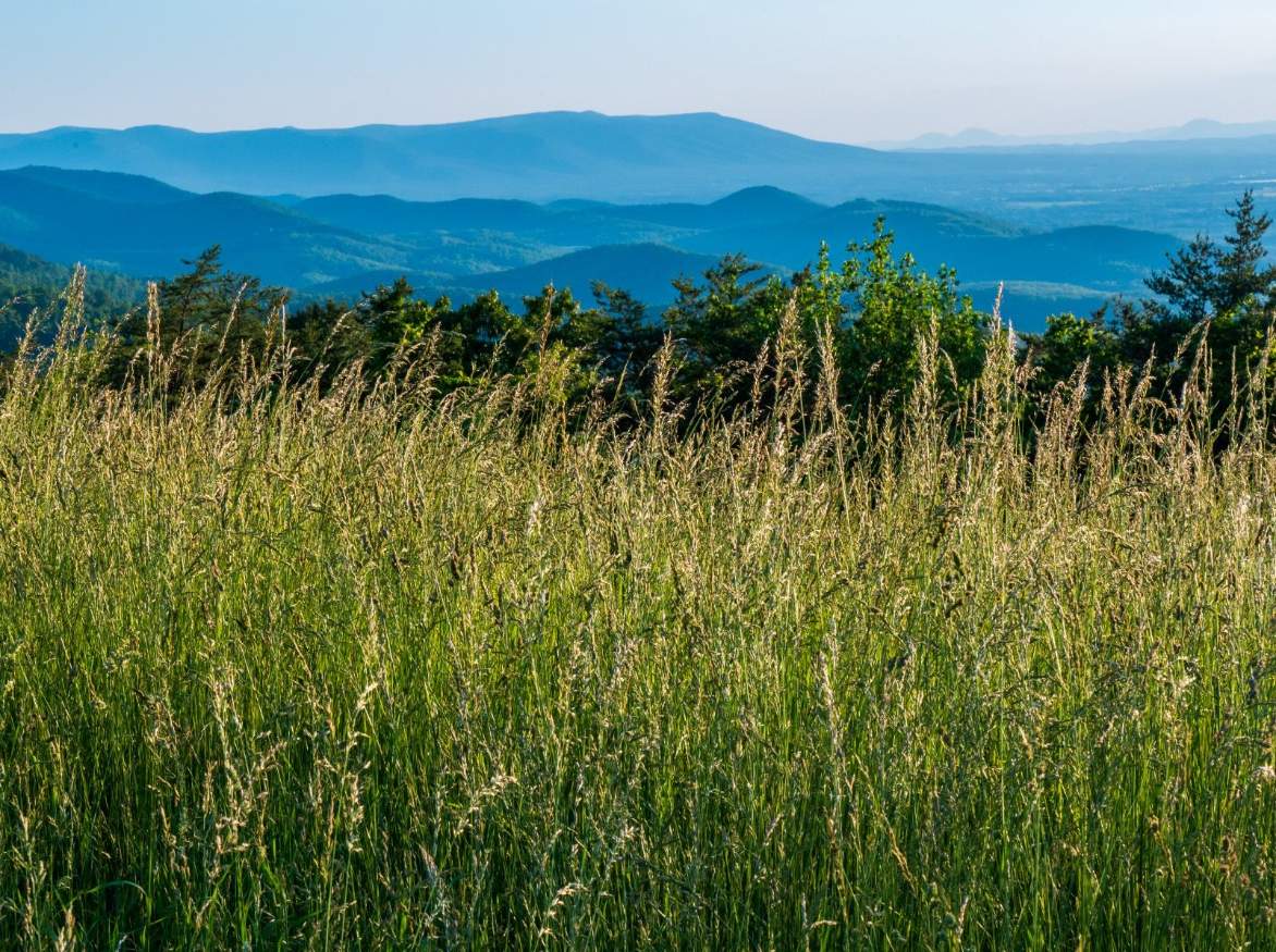 Jigsaw Puzzle | 20 pieces | Blue Ridge Mountains from Skyline Drive ...