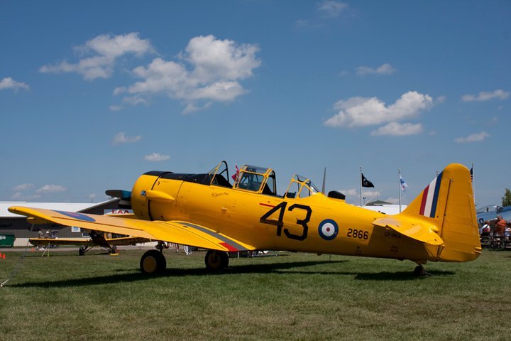 Solve Yellow 43 jigsaw puzzle online with 96 pieces