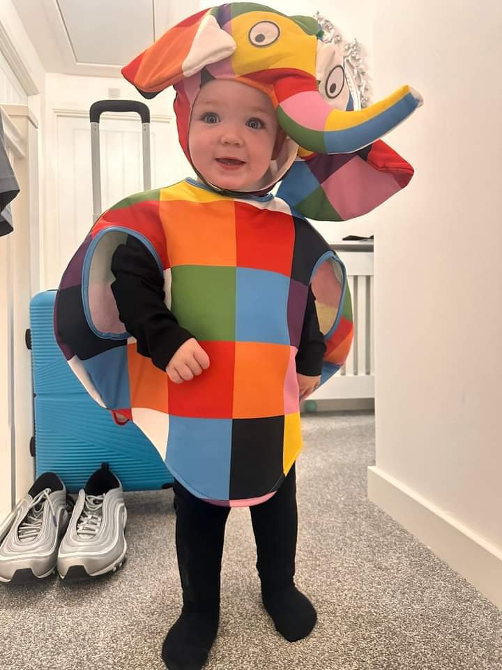 Solve Elmer the Elephant, book day costume jigsaw puzzle online with 35 ...