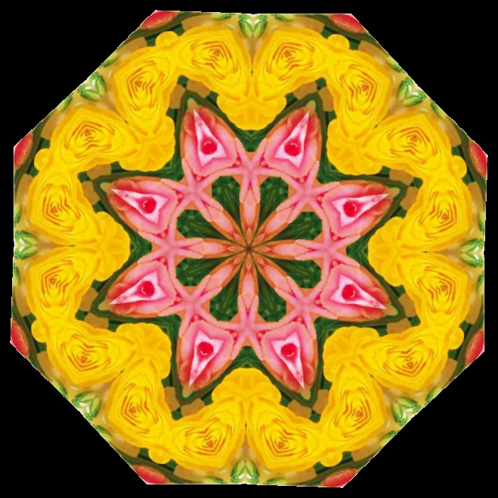 Solve A Ring of Yellow Roses jigsaw puzzle online with 16 pieces