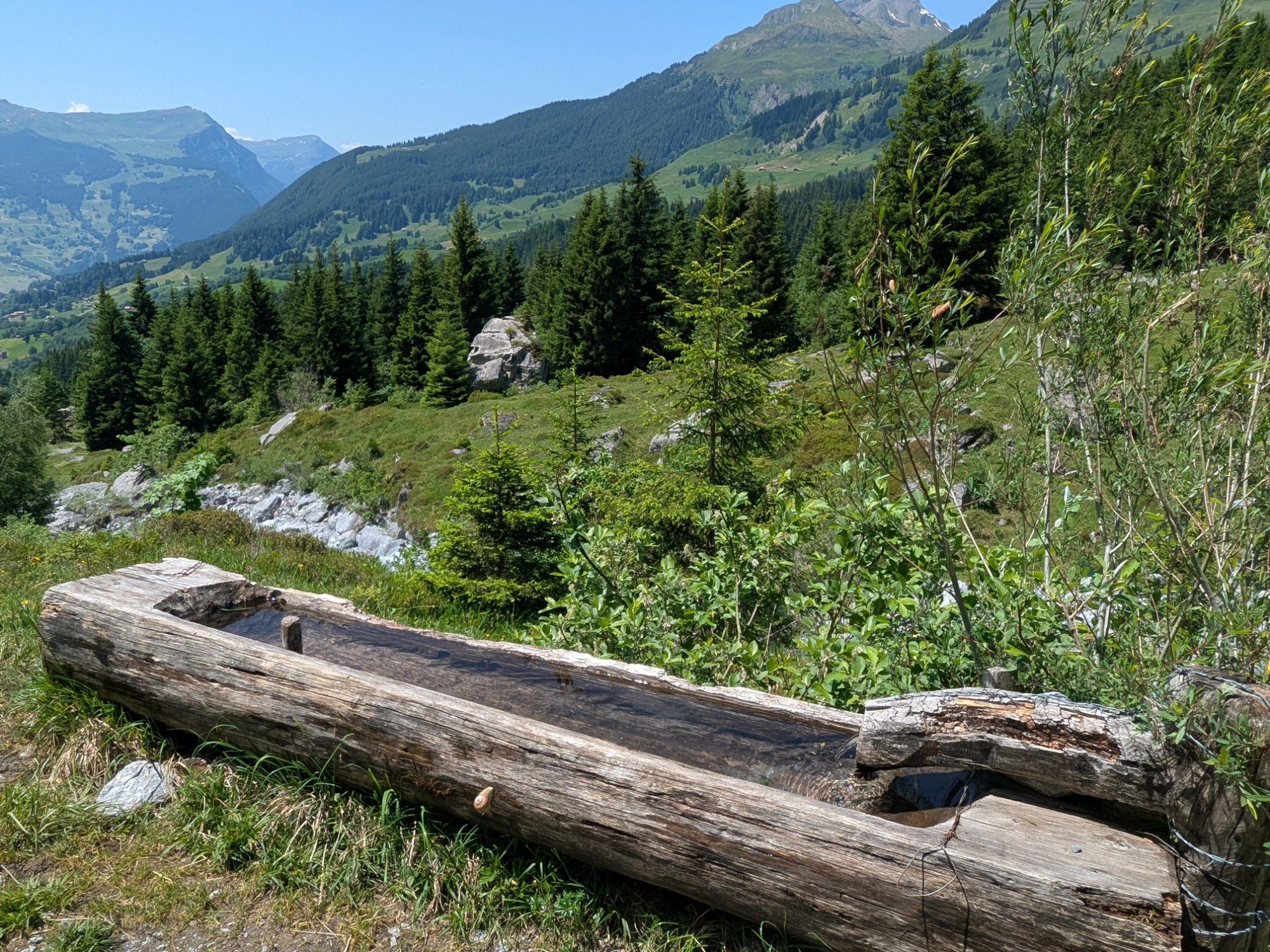 Solve Grindelwald - Schweiz jigsaw puzzle online with 252 pieces