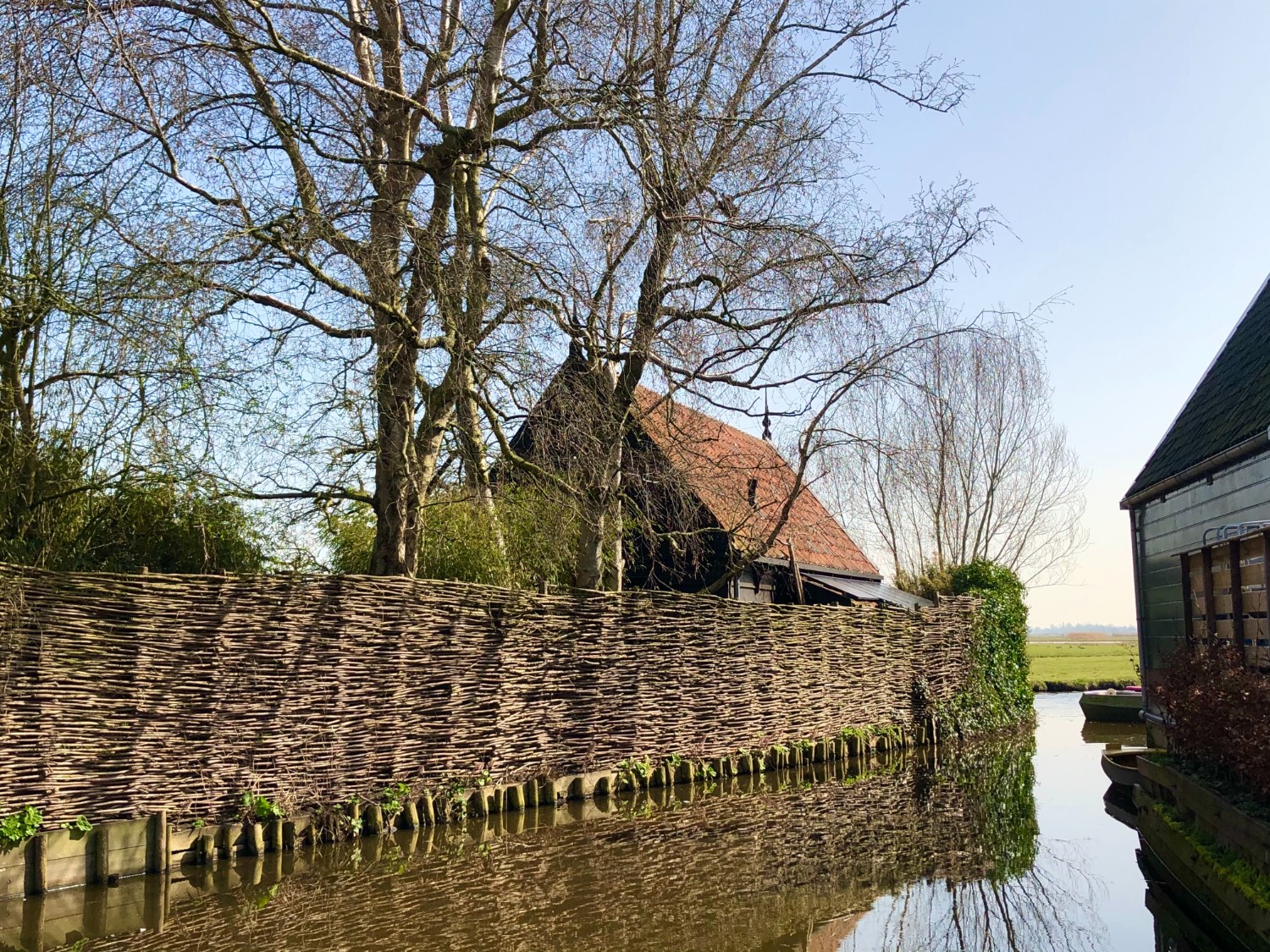 Solve Amsterdam Wetlands jigsaw puzzle online with 63 pieces