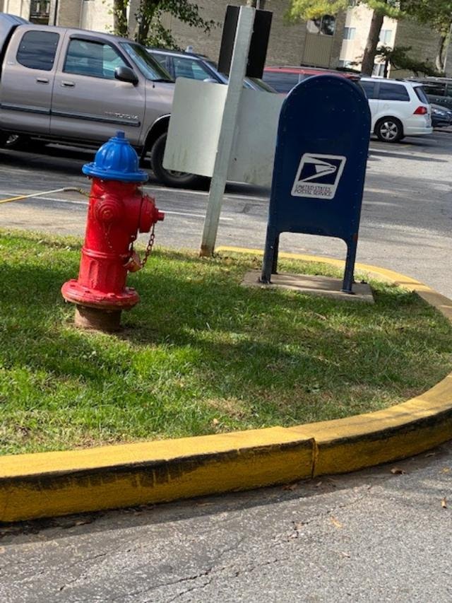 Solve Mailbox and fire hydrant jigsaw puzzle online with 20 pieces