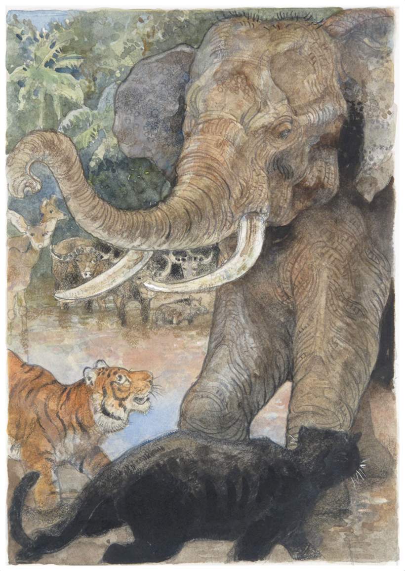 Solve The Tiger Shere Kahn and the Elephant Hathi (from The Jungle Book ...
