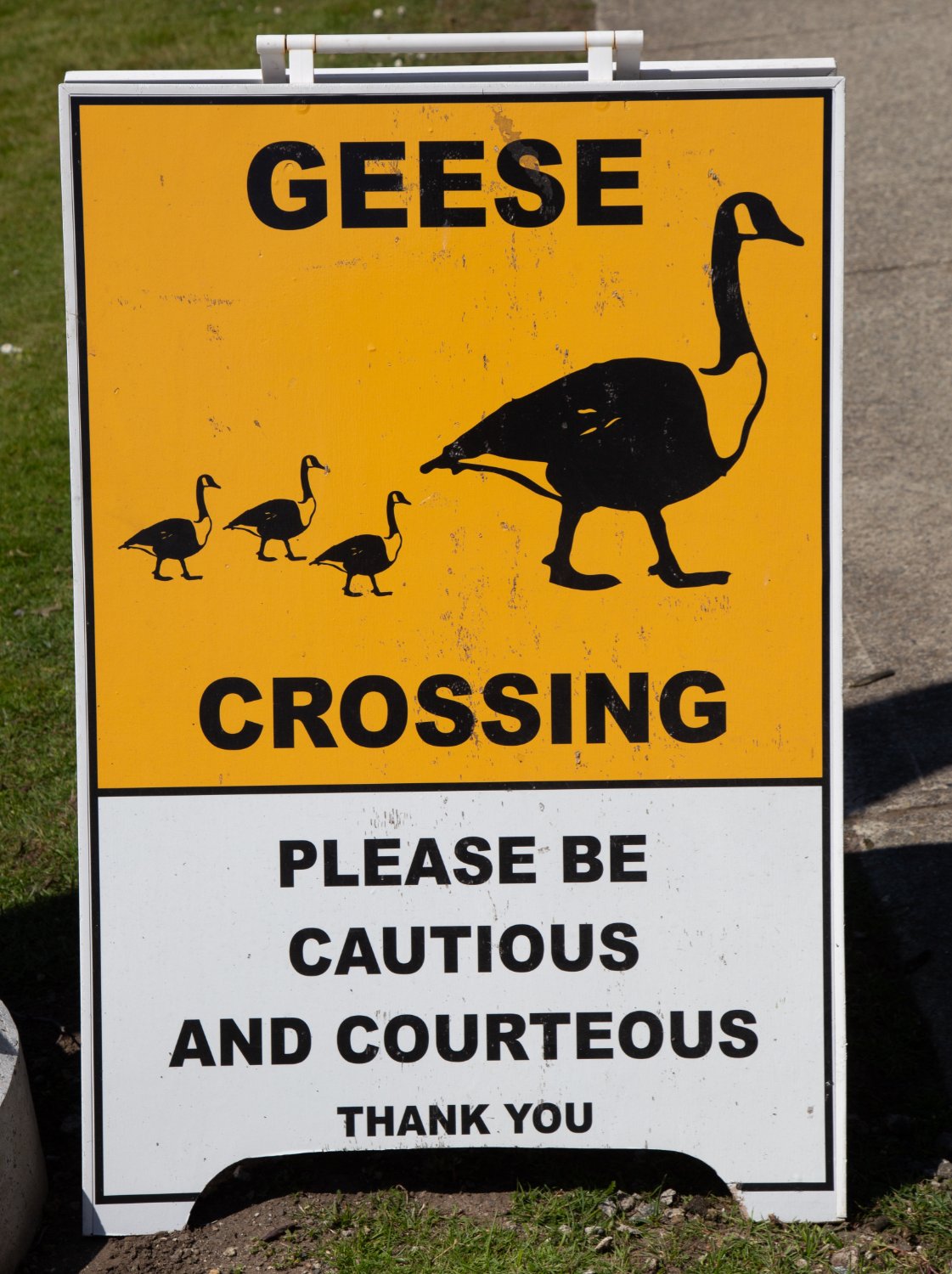 Solve Another sign that Canadians are kind and polite. jigsaw puzzle ...