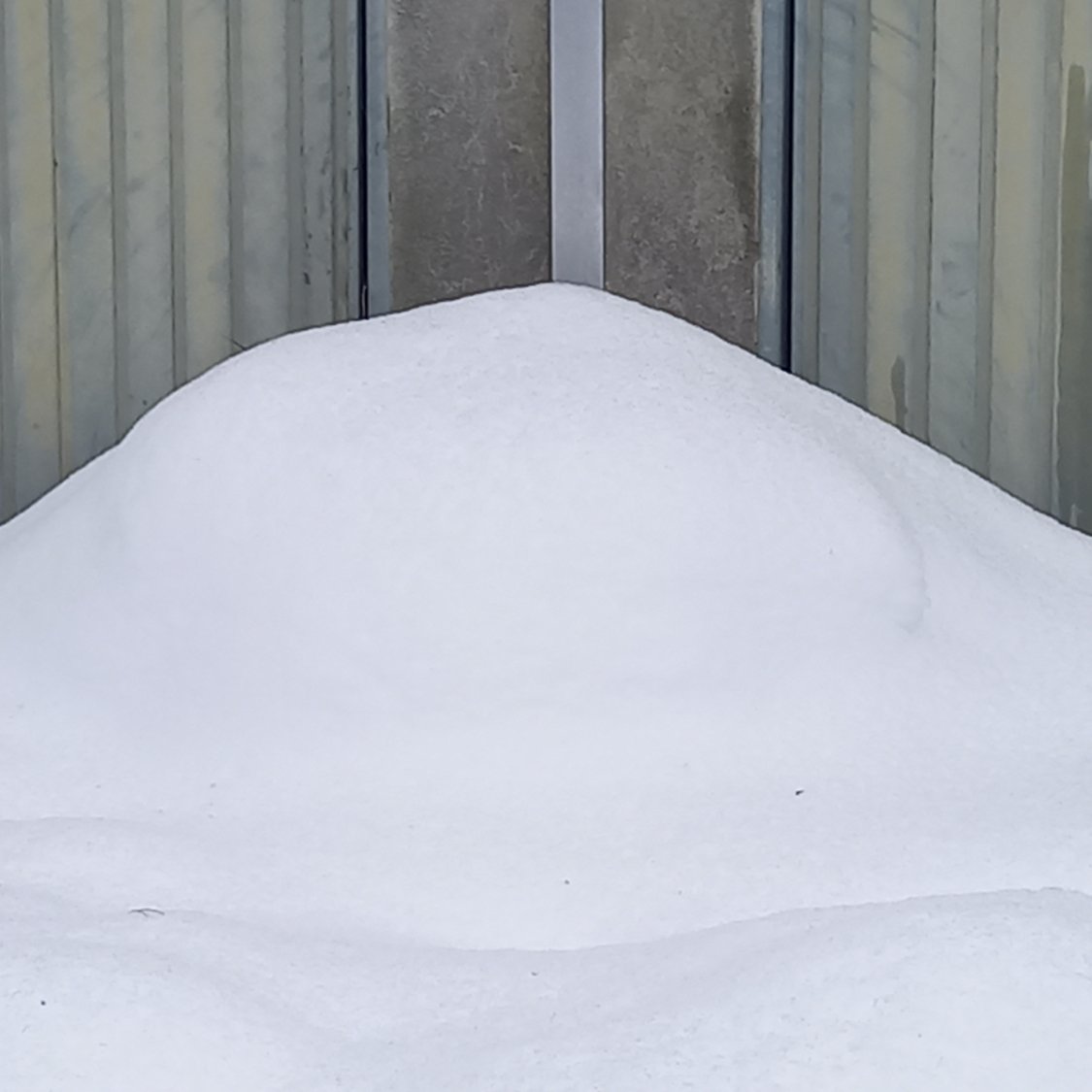 Solve Urban Biodiversity - Follow-up jigsaw puzzle online with 25 pieces