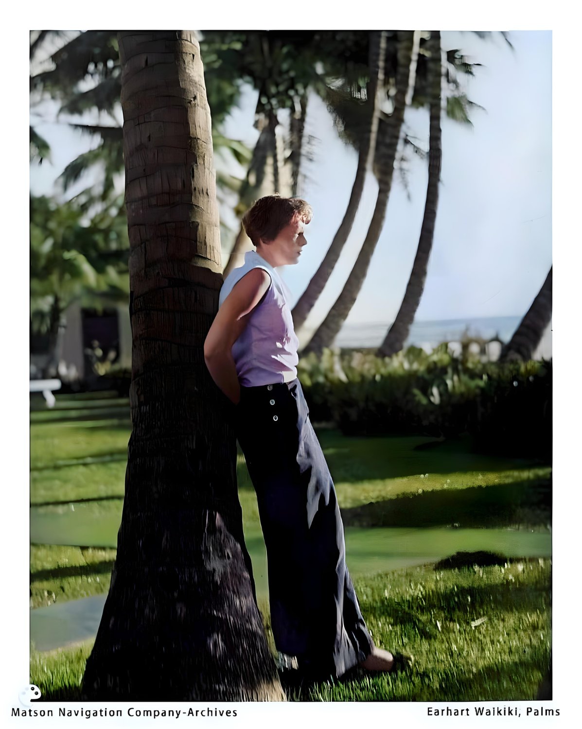 Solve Amelia Earhart. jigsaw puzzle online with 208 pieces