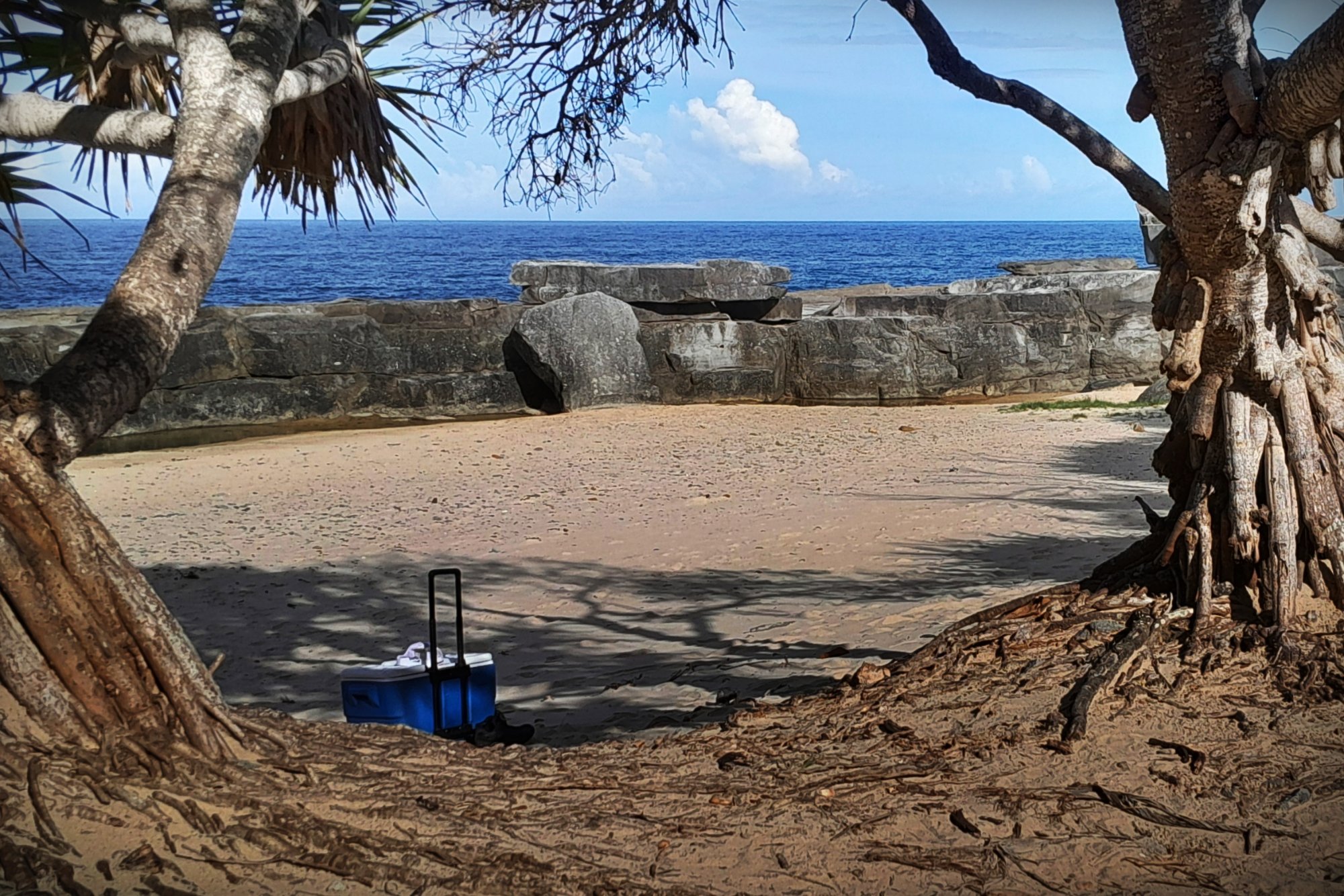 Solve Time for a picnic jigsaw puzzle online with 70 pieces