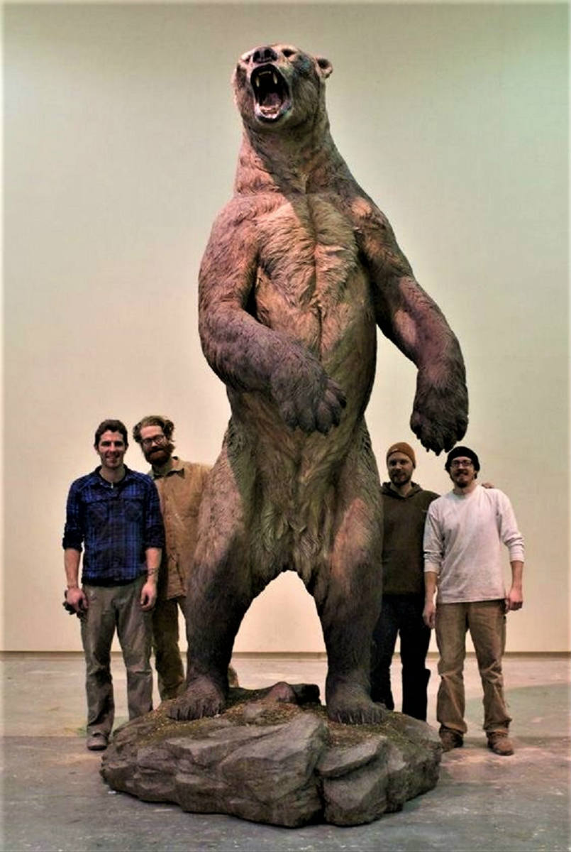 Puzzle | 96 piezas | Short-faced Bear [Pleistocene] - its size compared ...