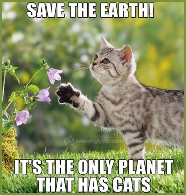 Solve Earth Day 2025 - Be Kind To The Earth And All Beings On It. It's ...