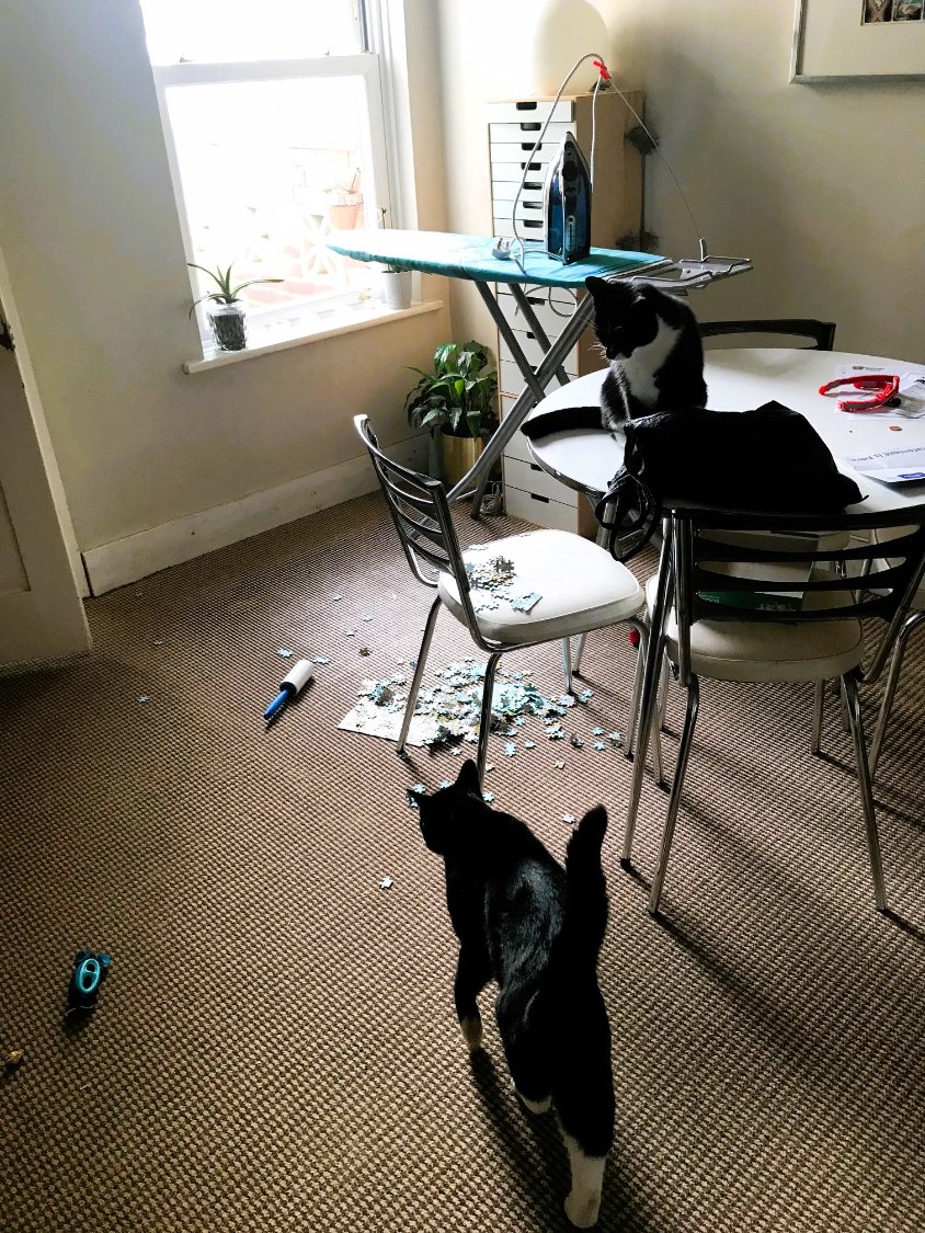 Solve SECURITY CAMERA FOOTAGE - 4 OF 4 jigsaw puzzle online with 12 pieces