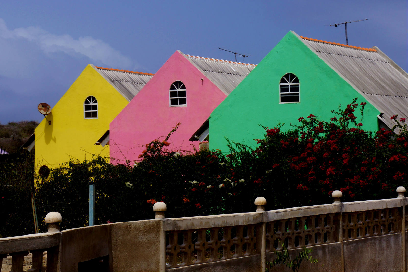 Solve Curacao Colors jigsaw puzzle online with 176 pieces