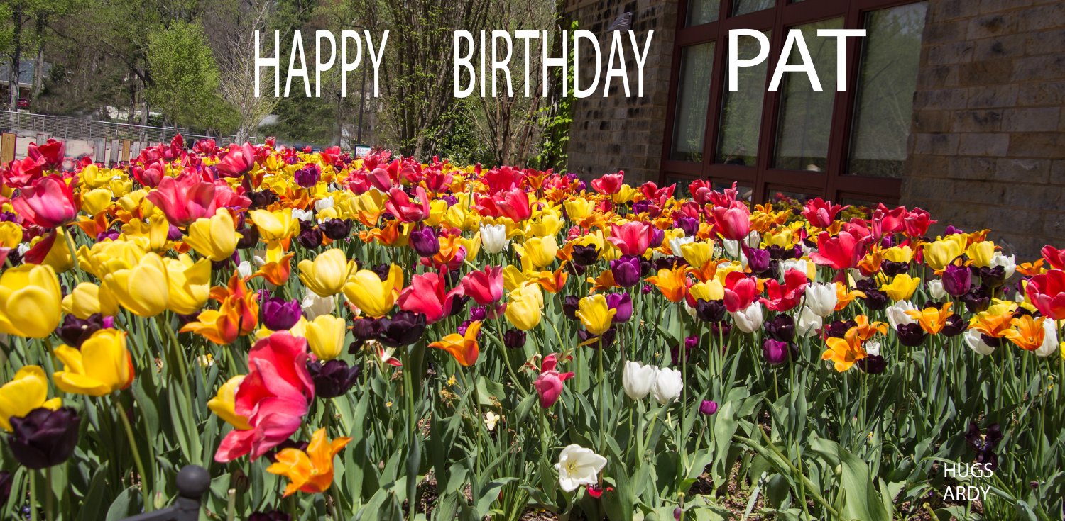 Solve Happy Birthday, Pat. (pkin38) jigsaw puzzle online with 10 pieces