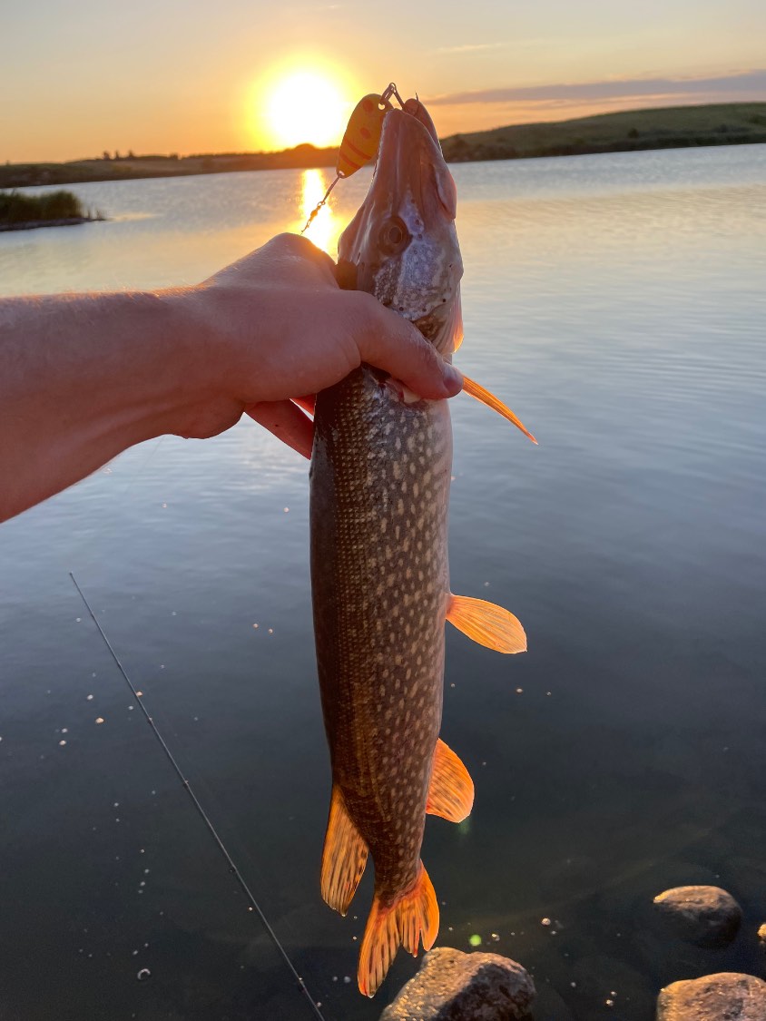 Solve Early morning pike jigsaw puzzle online with 63 pieces