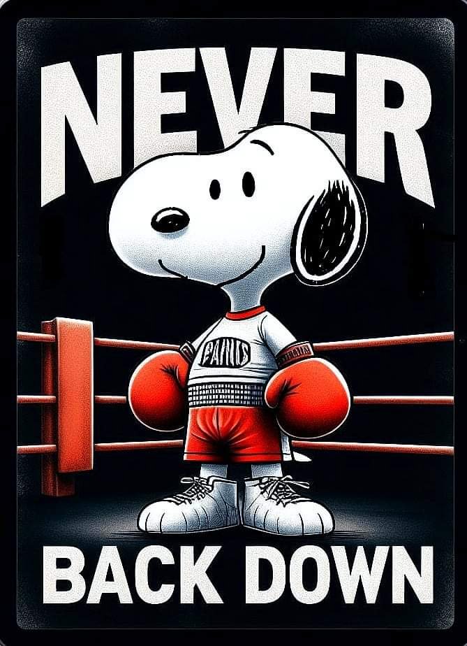 Solve Snoopy Boxing jigsaw puzzle online with 165 pieces