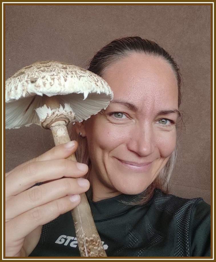 Solve Sběr hub - bedla jedlá... Collecting mushrooms - edible mushrooms ...