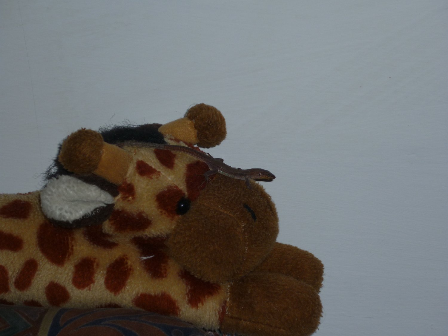 Jigsaw Puzzle | Meet Jerry :-) | 30 pieces | Jigidi