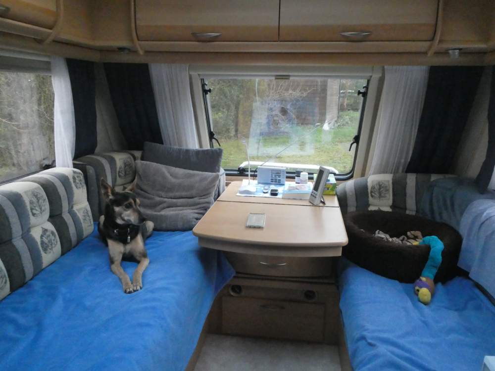Solve One settee in the caravan is Bambi's. The other is mine. Yes ...