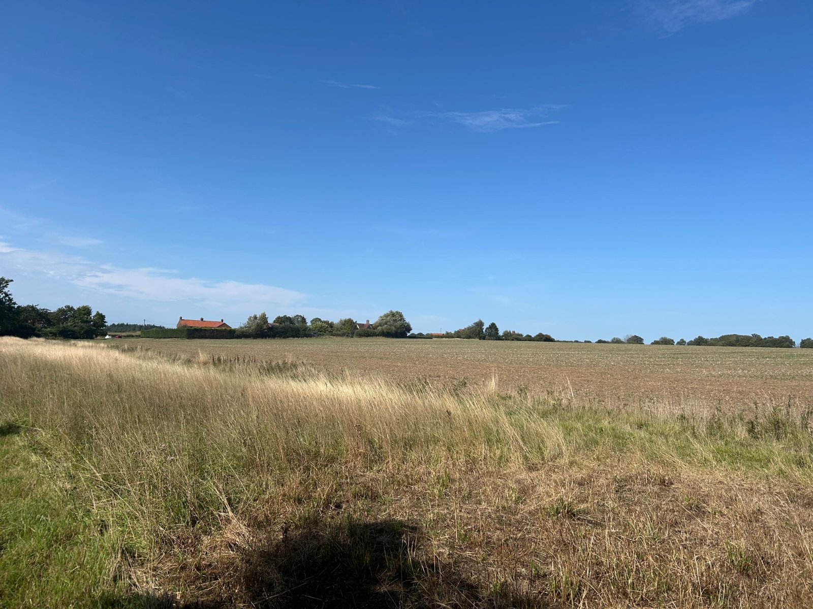 Jigsaw Puzzle | 48 pieces | Field View | Jigidi