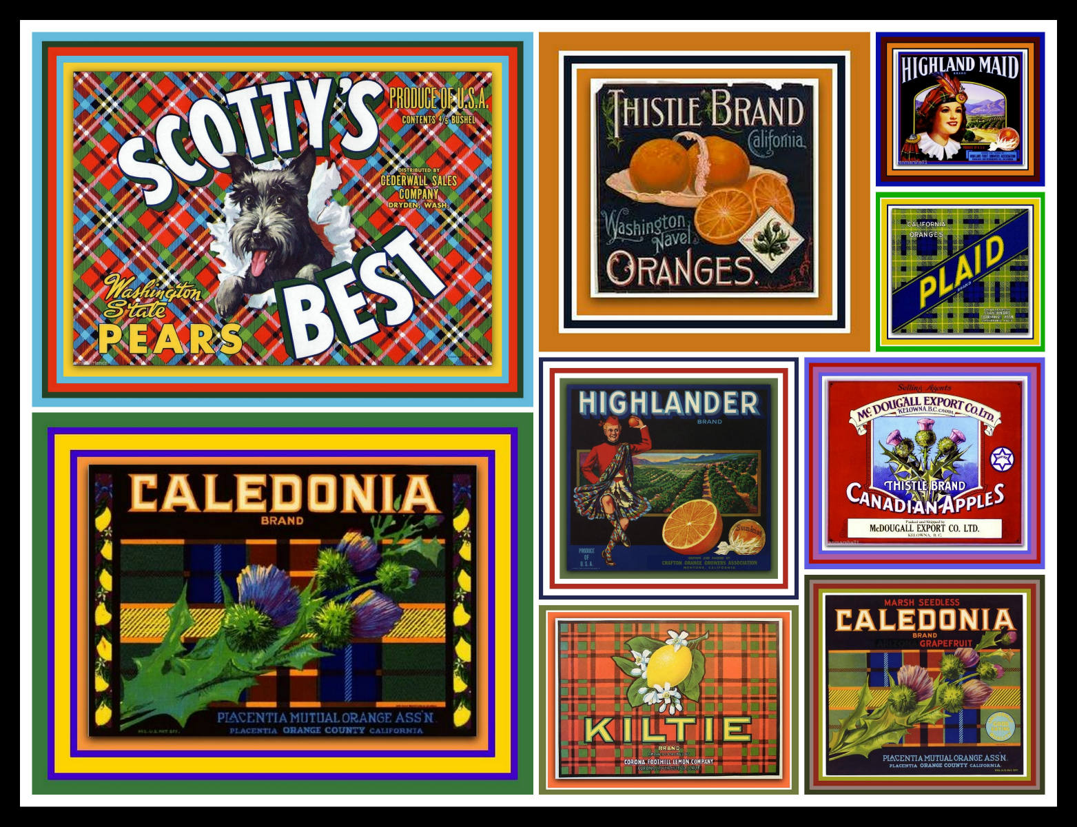 Solve Vintage Fruit Labels - With a Scottish Theme jigsaw puzzle online ...
