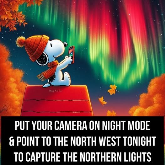 Solve Snoopy Northern Lights jigsaw puzzle online with 64 pieces